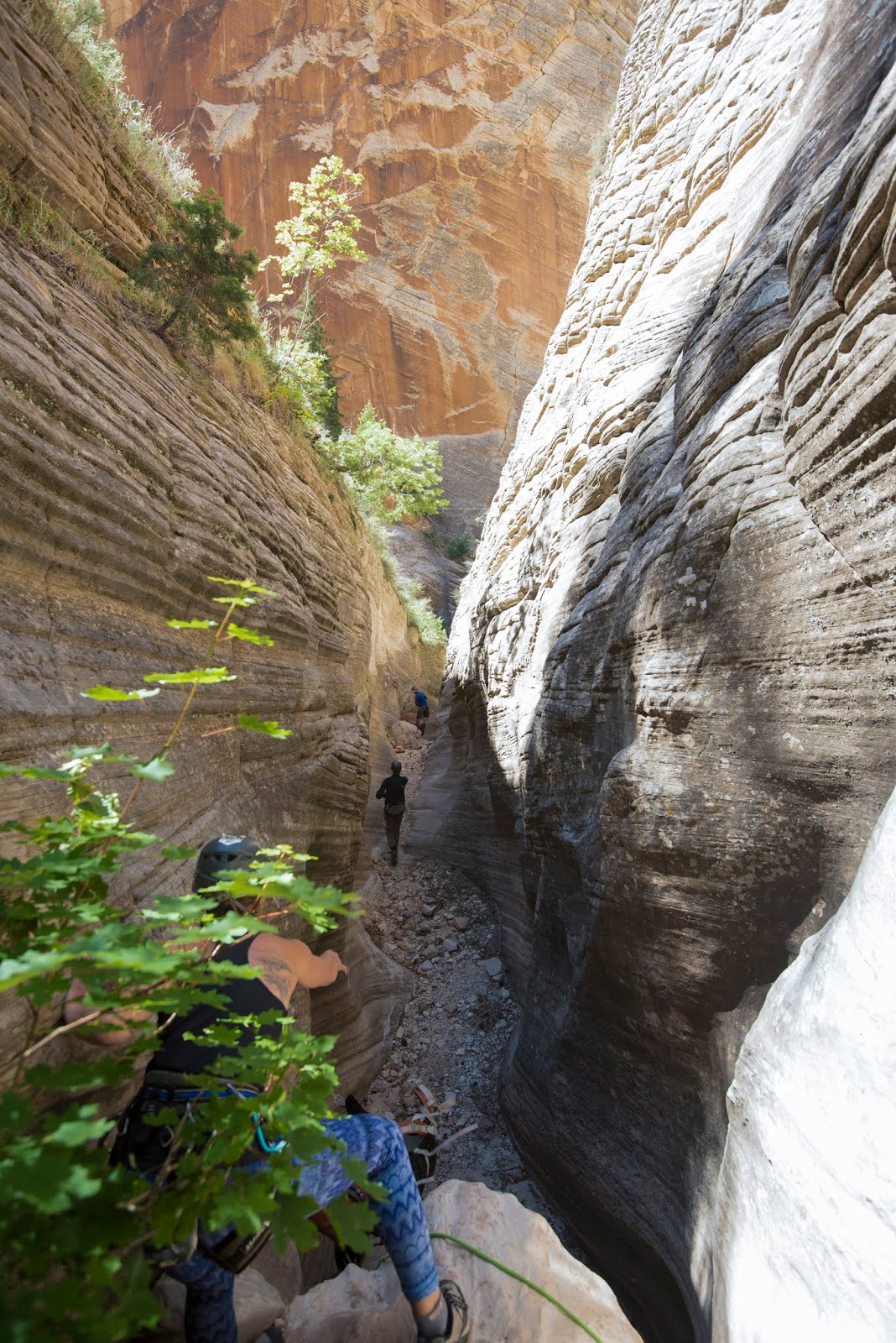 CHECKERBOARD CANYON 3BIV. ZION NATIONAL PARK - ADAM HAYDOCK
