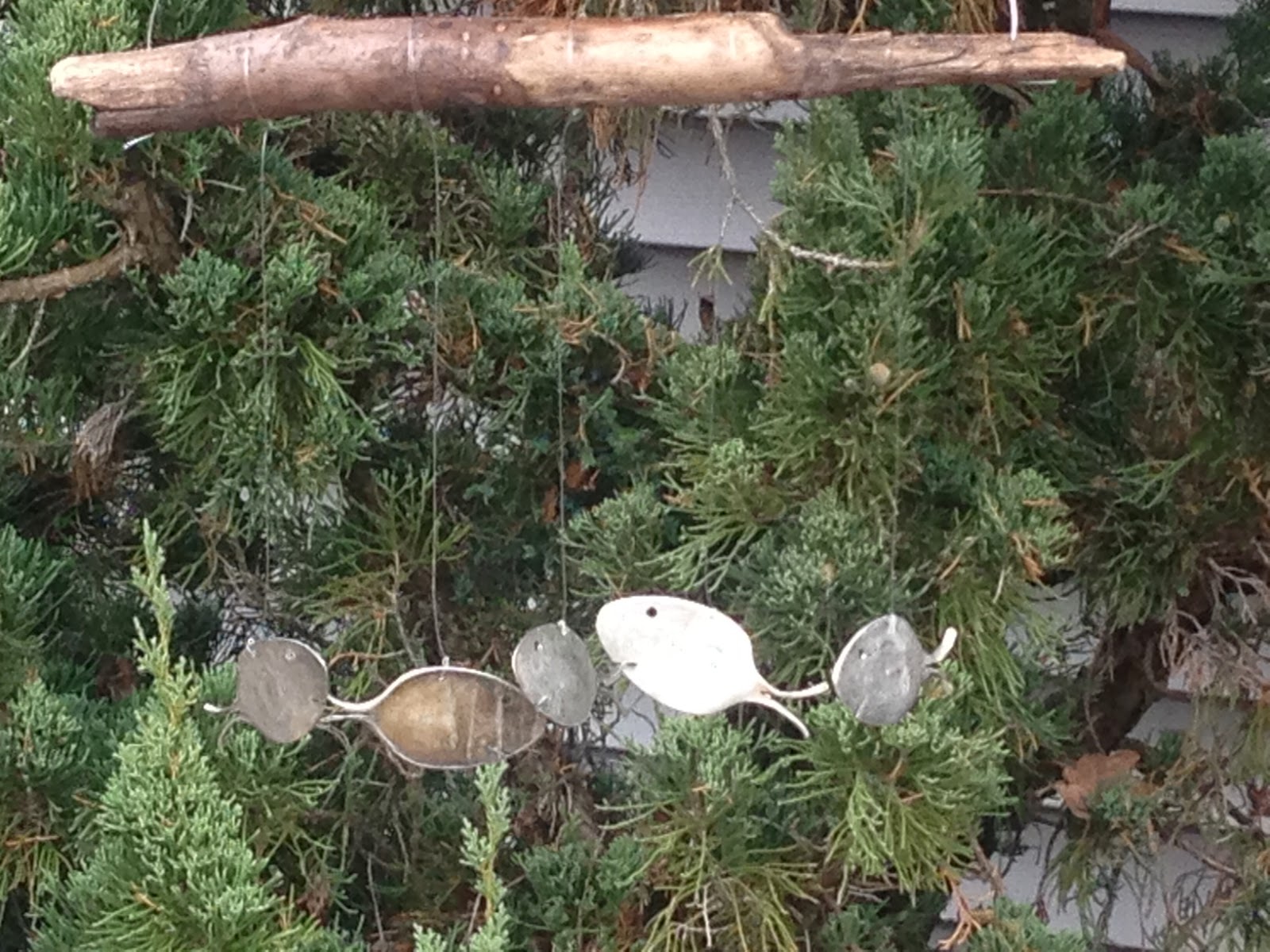 Mister Tristan: Fish Chimes...and Ultrarunning