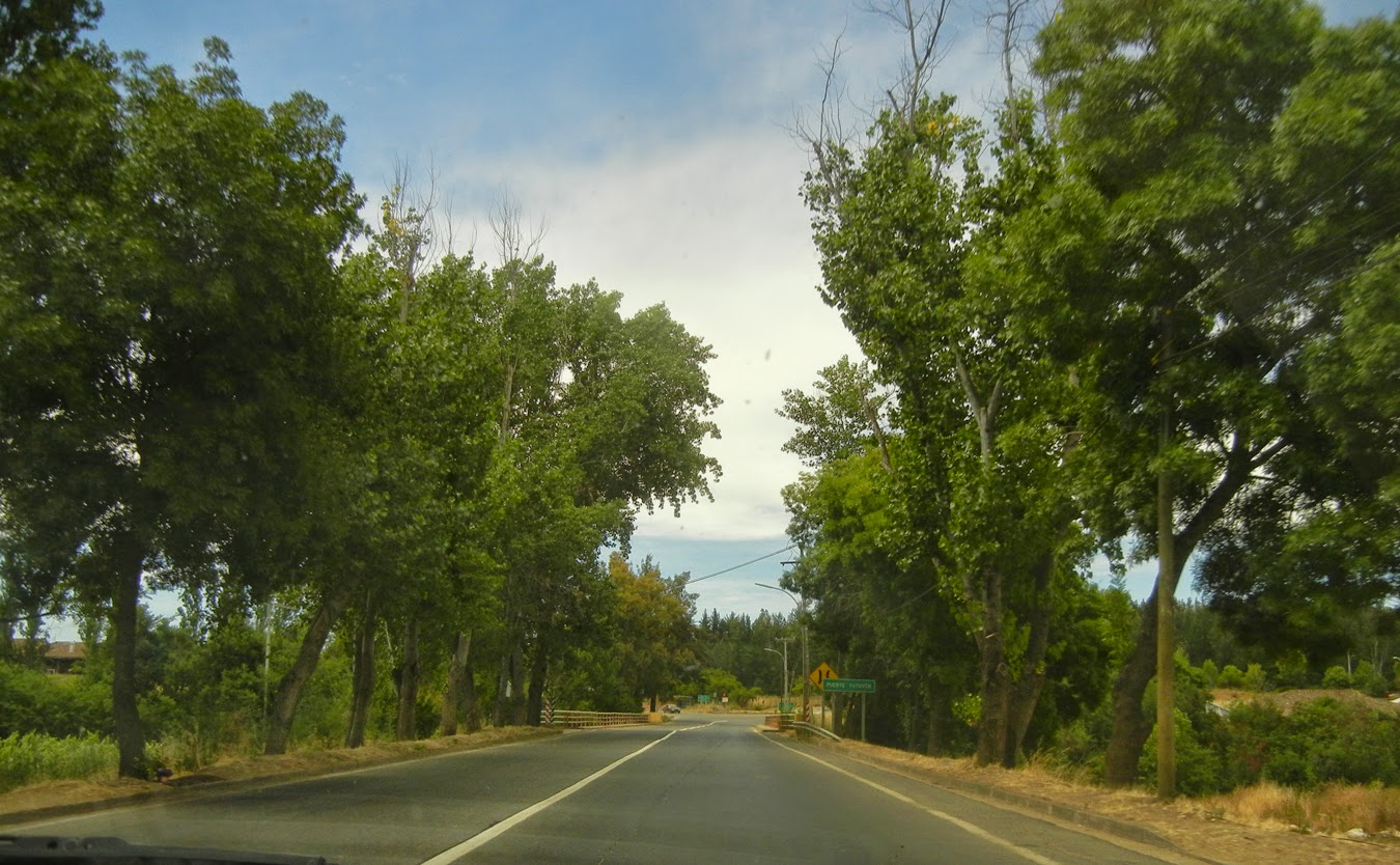 Our Mission in Concepcion, Chile: Parral and Cauquenes