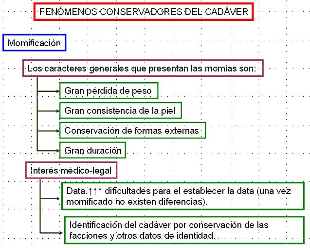 Momificación, saponificación, corificación, congelación ...