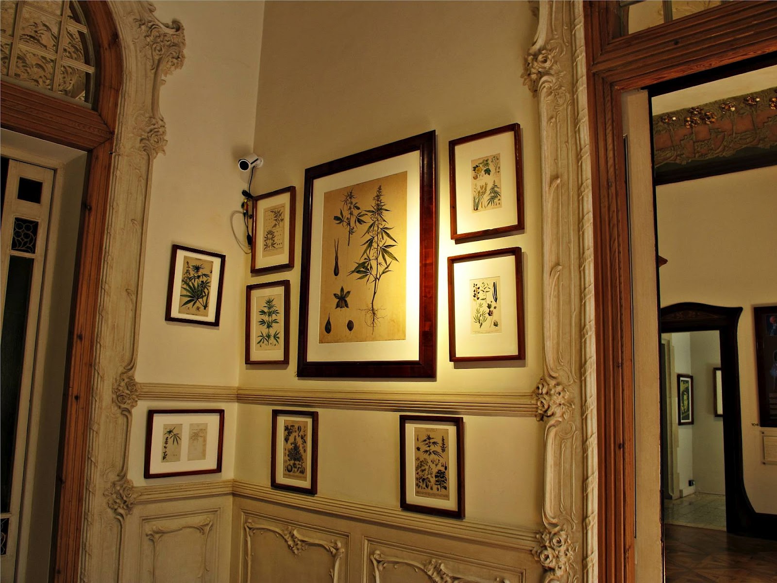 Milerenda: Palau Mornau y el Hemp Museum Gallery