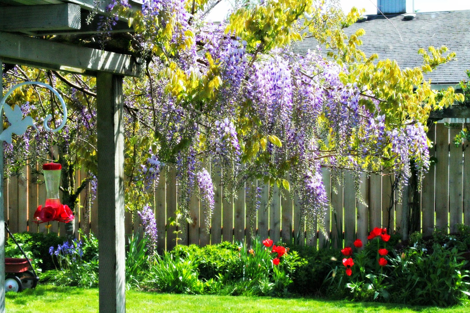 For the love of white: Spring Garden in Oregon