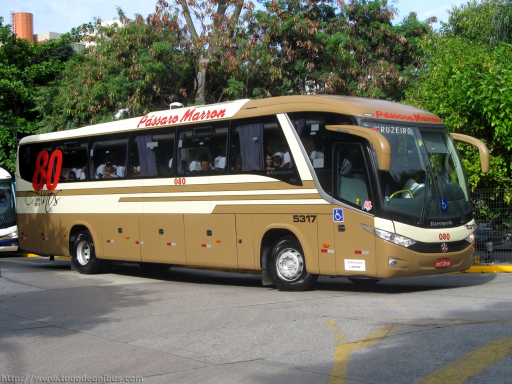 Tudo de Ônibus: Paradiso 1050 - Pássaro Marron