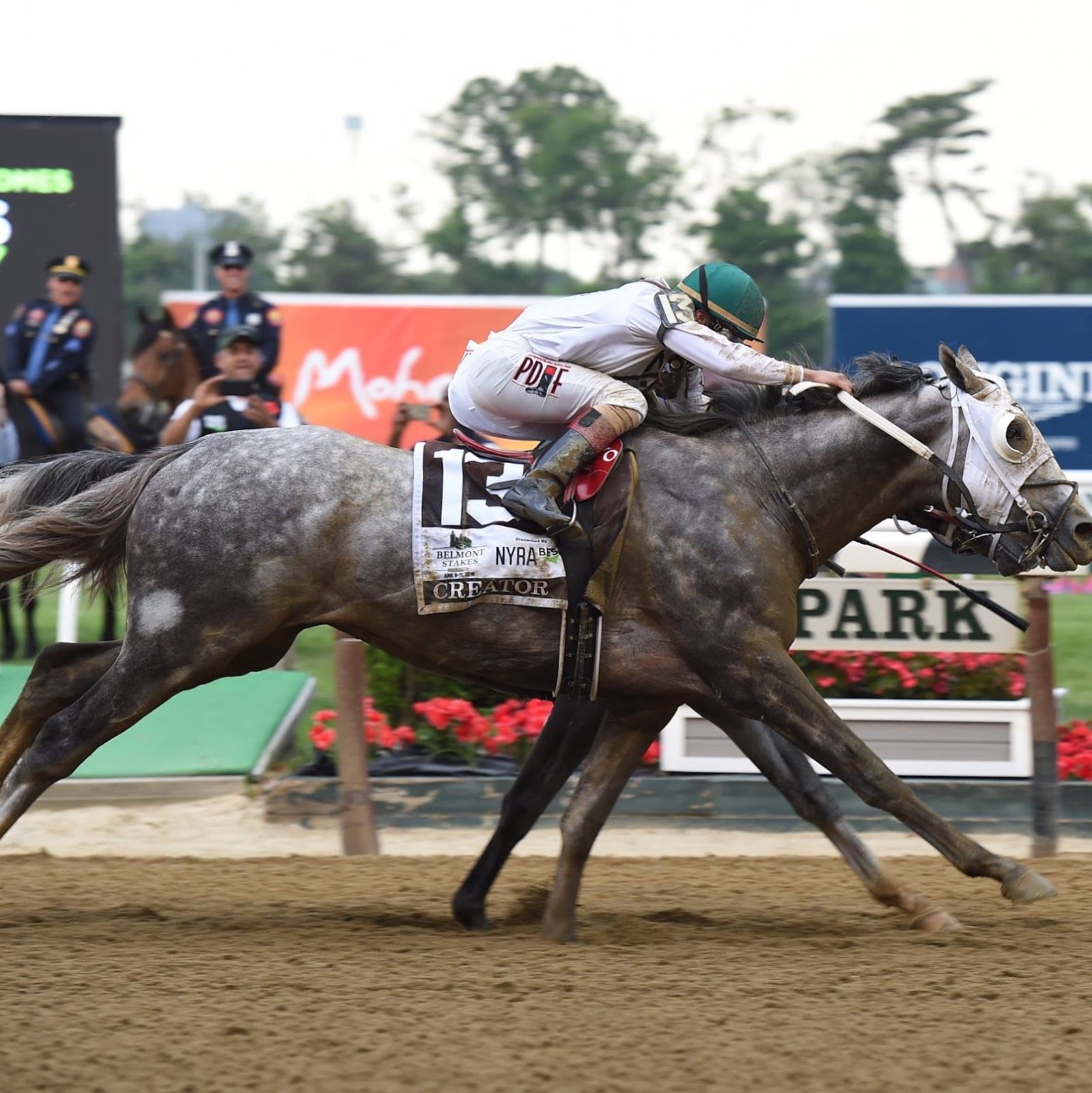 Northern Dancer Blog