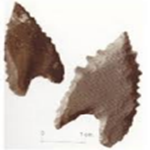 Tergokil 23+ Gambar Mata Panah Pada Zaman Praaksara