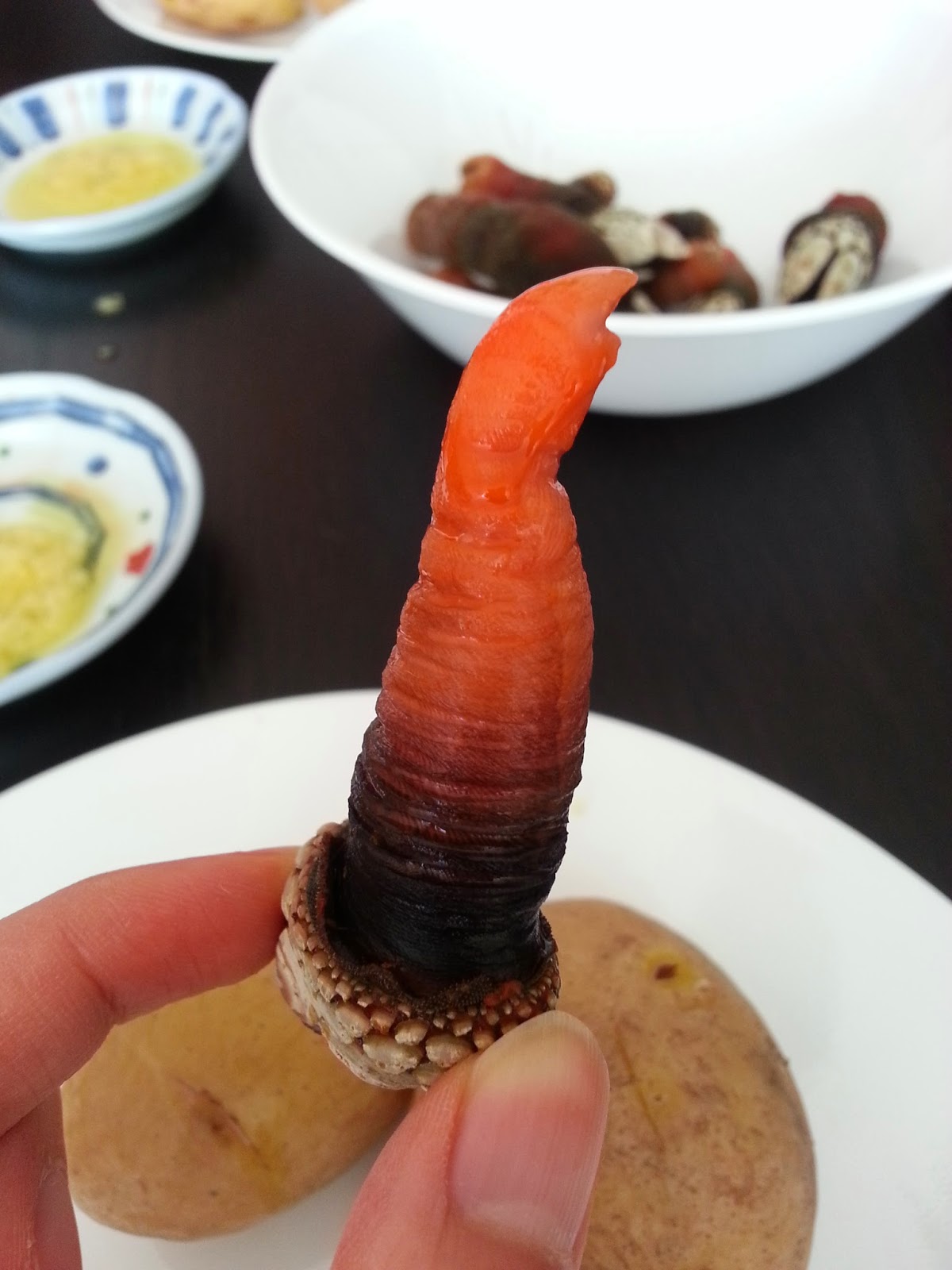 My Foodie Evolution: Gooseneck Barnacles