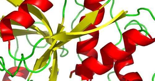 Macam-Macam Enzim Beserta Fungsinya - Qnd News