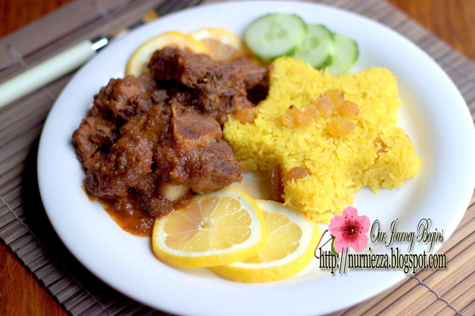 Our Journey Begins: NASI LEMON