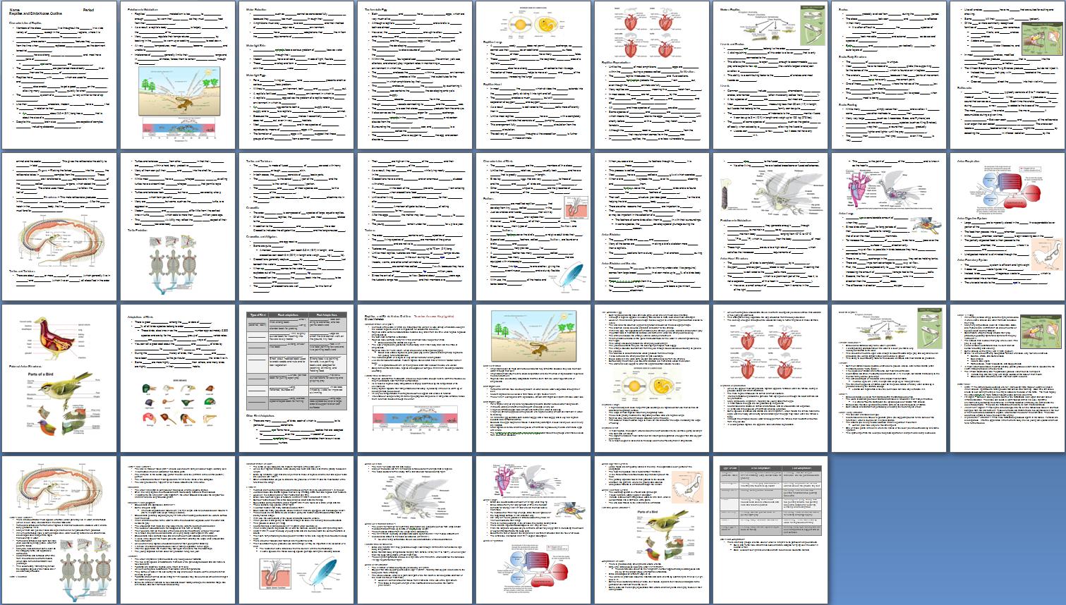 The Lesson Guide: Animal Kingdom: Reptiles and Birds Unit Bundle - 9 files