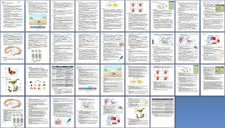 The Lesson Guide: Animal Kingdom: Reptiles and Birds Unit Bundle - 9 files