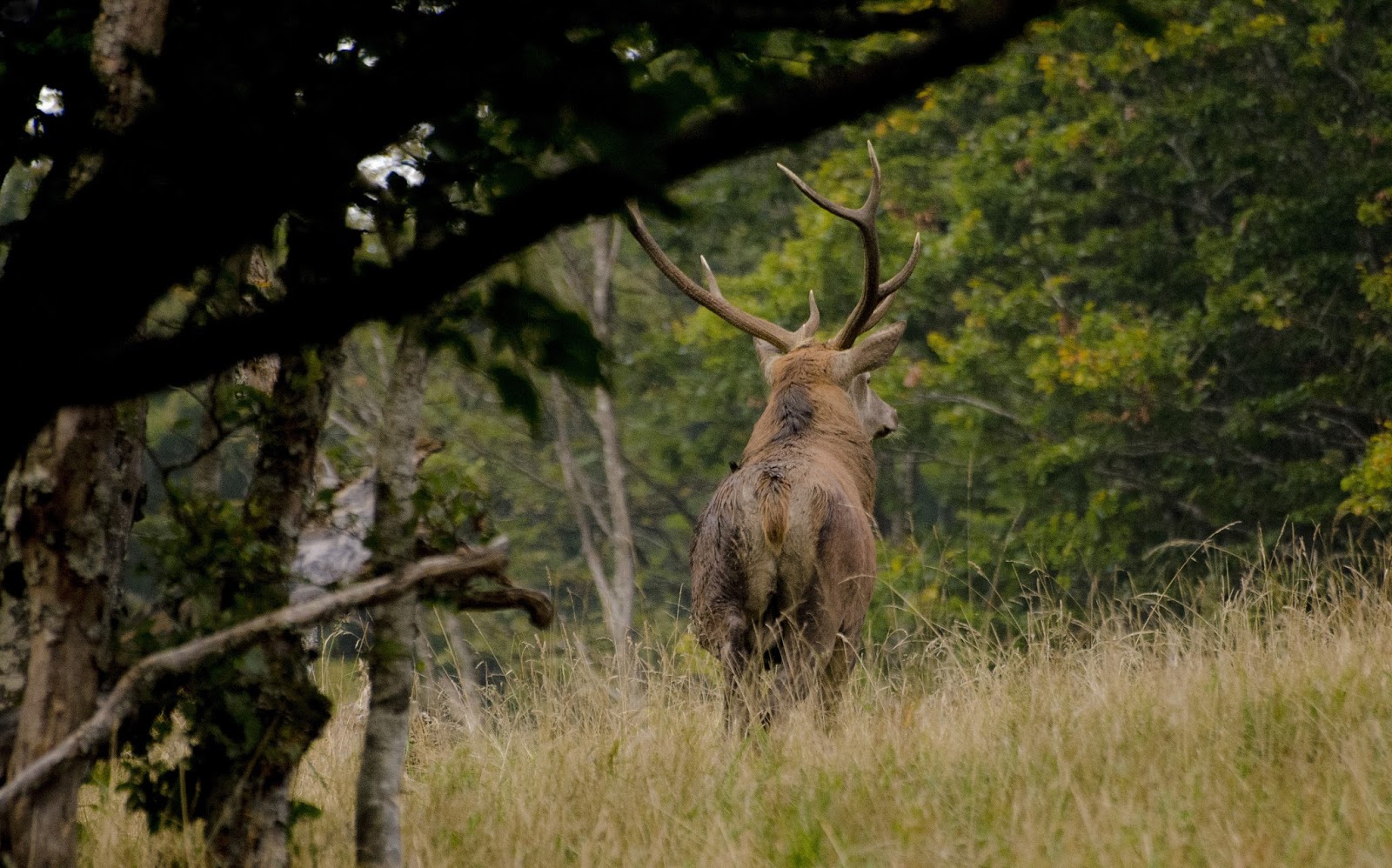DROMESCAPE - Randonnées en Drôme et Escapades photographiques: Les ...