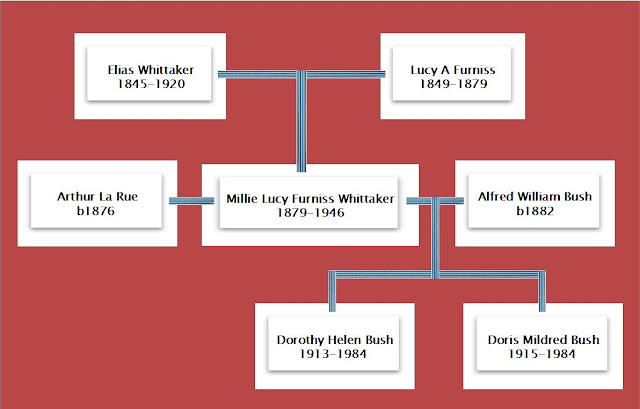 Family History: Family Trees