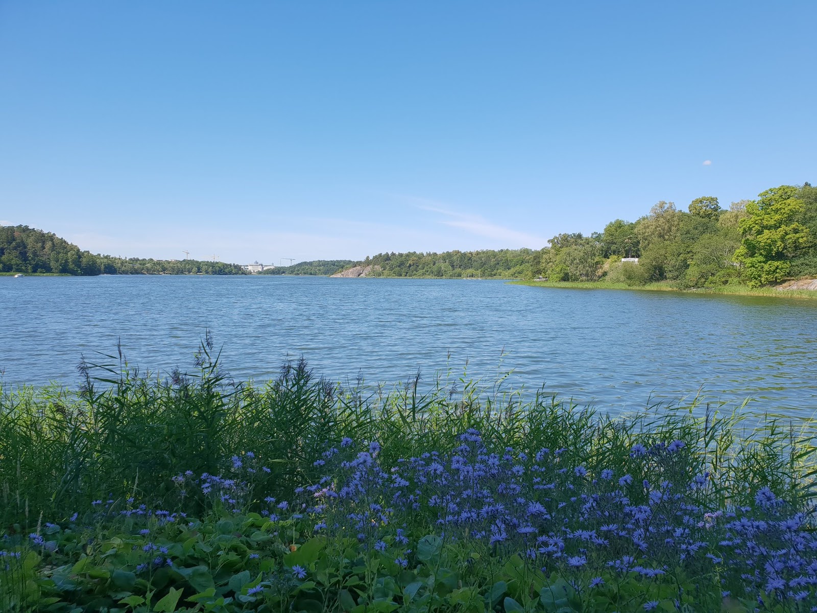 Team Vildmark: Ingegerdsleden etapp 1: Storkyrkan - Kista kyrka