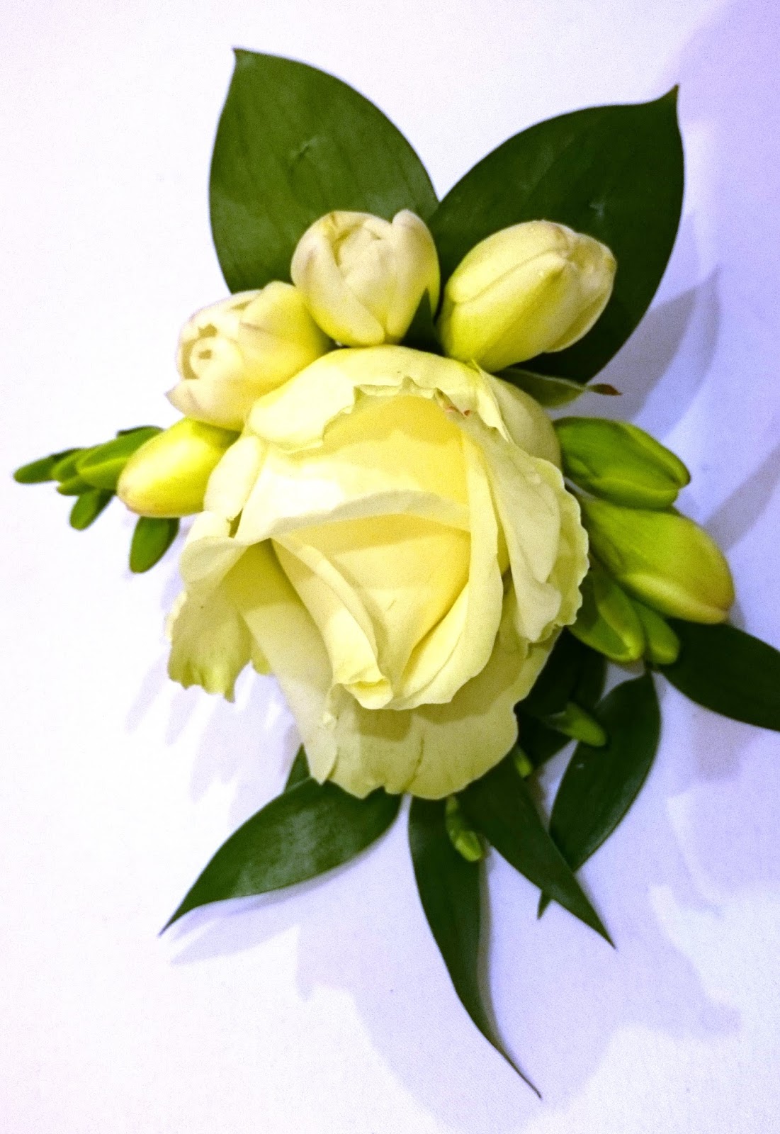 Sandra's Flower Studio.: Blush and Ivory Wedding Flowers