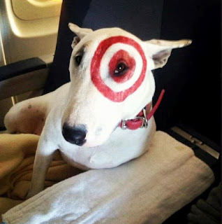 Target Addict: Bullseye flies First Class...
