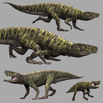 The Pondering Gulch: Et Tunc Nulla Erat VI