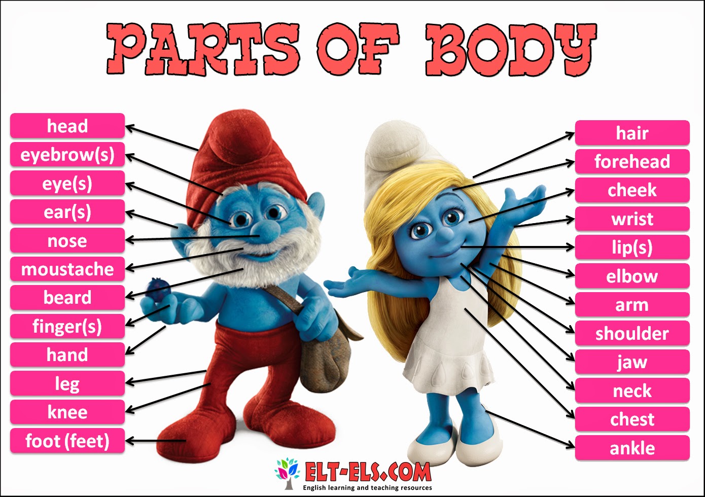 Parts of body | www.elt-els.com
