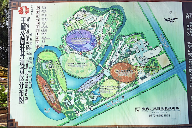 Southern Peony: 2018 Southern Peony Visits Wangcheng Park 王城公园