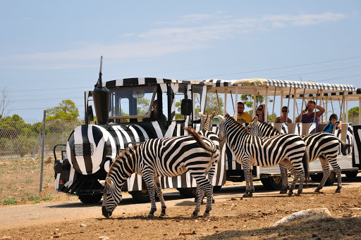 Mallorca, Menorca & Co.: Safari Zoo, Cala Millor