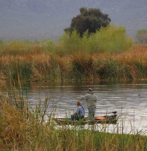 Birding Without Barriers: Tres Rios Rocks!