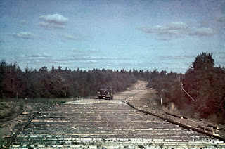 Journey to the Past: Last Day Local: Historical Corduroy Road Uncovered