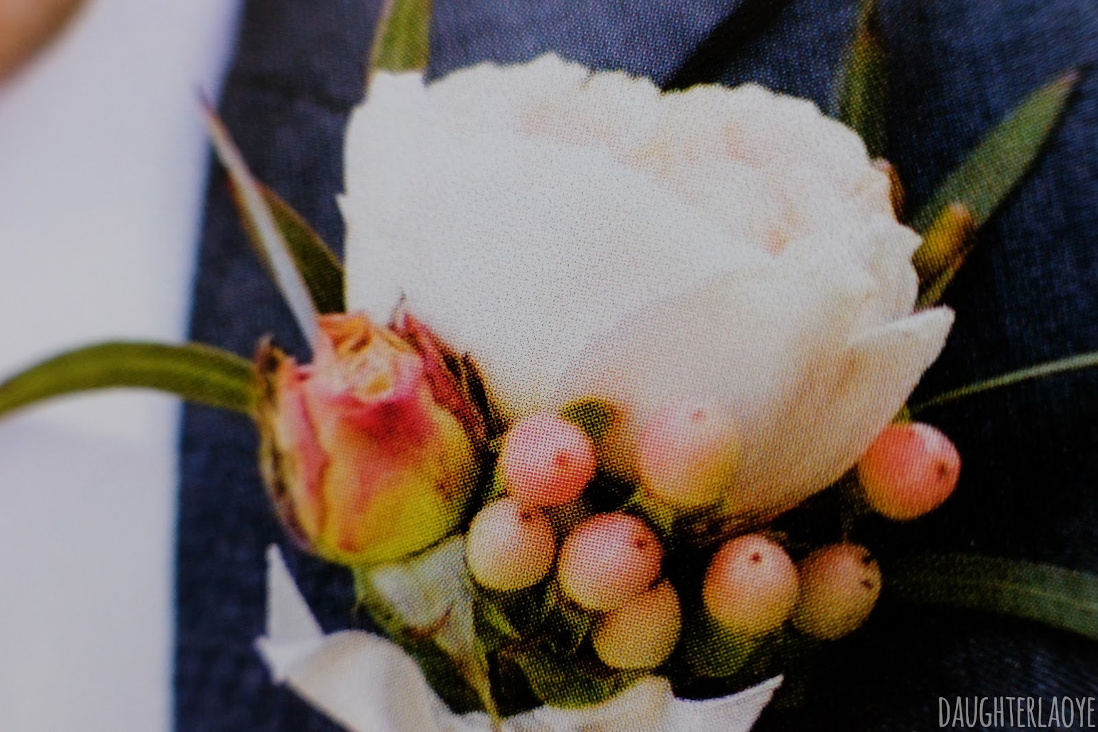 Daughter Lao Ye: Photobook Review: MILK Photo Book (Paper)