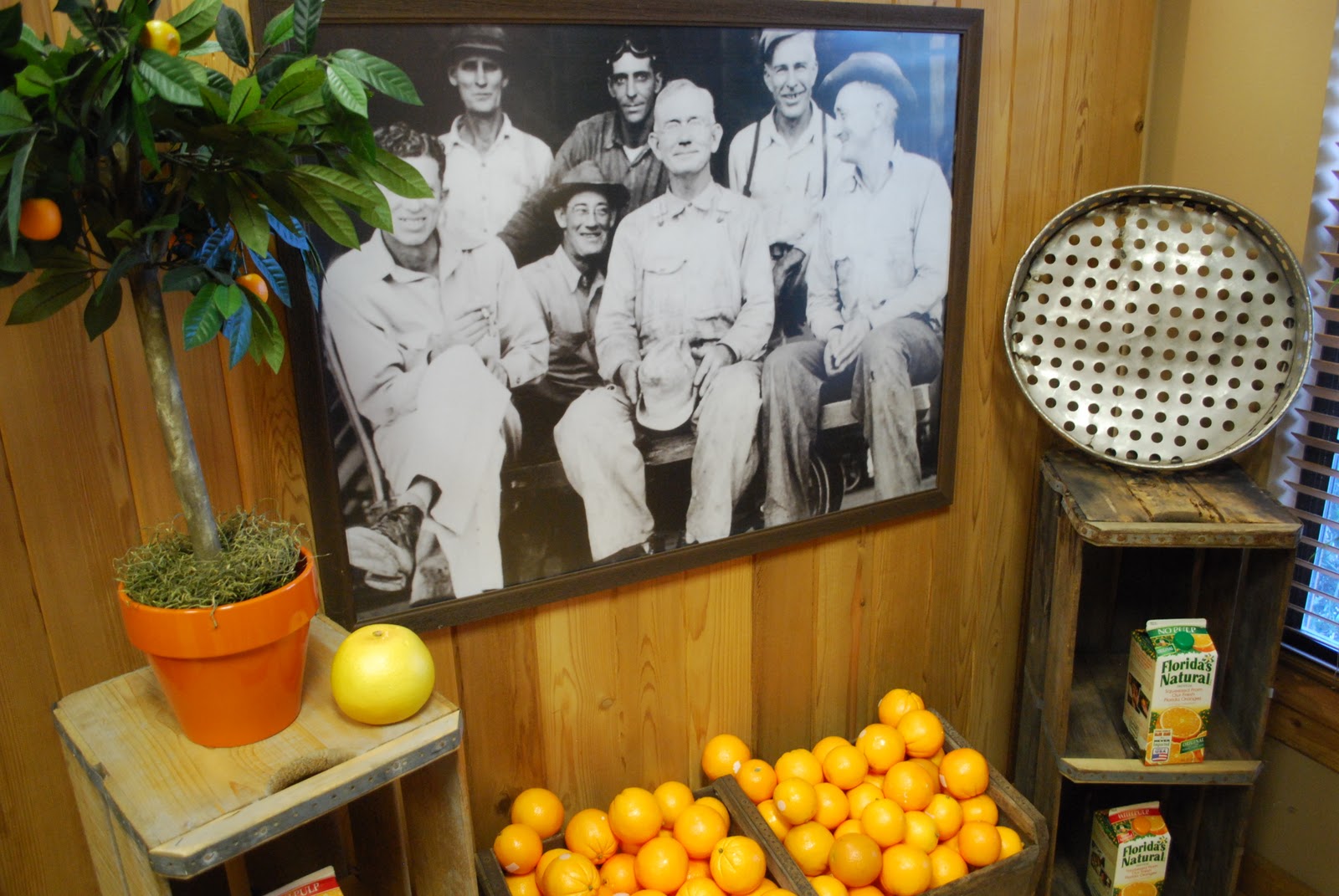 mamascout: orange juice factory tour