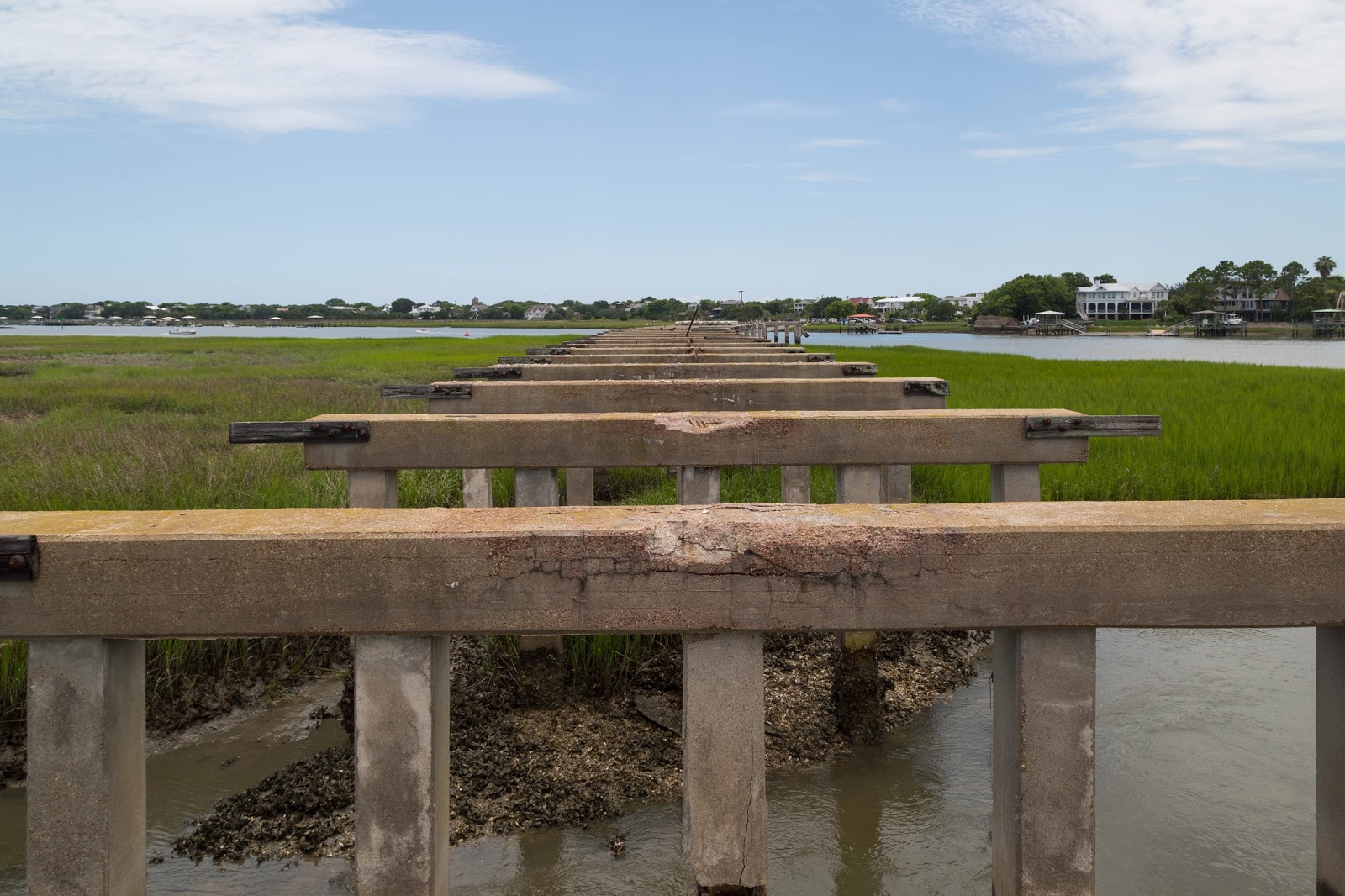 Charleston Daily Photo: Pitt Street Bridge