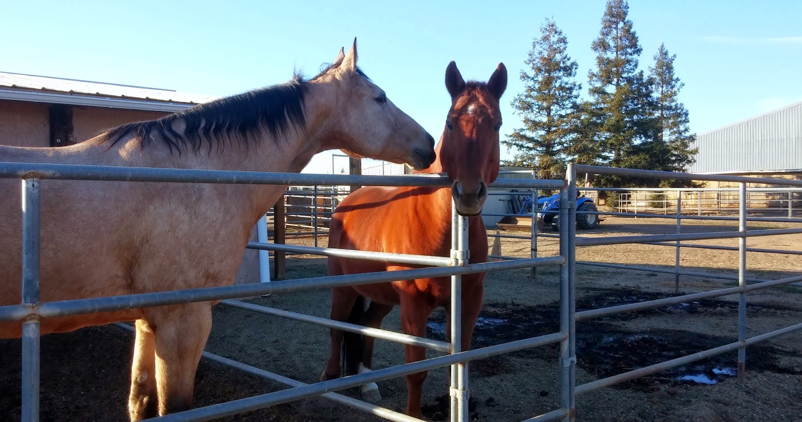 Seongsook's Creations: Photos taken at the Lucky Ranch
