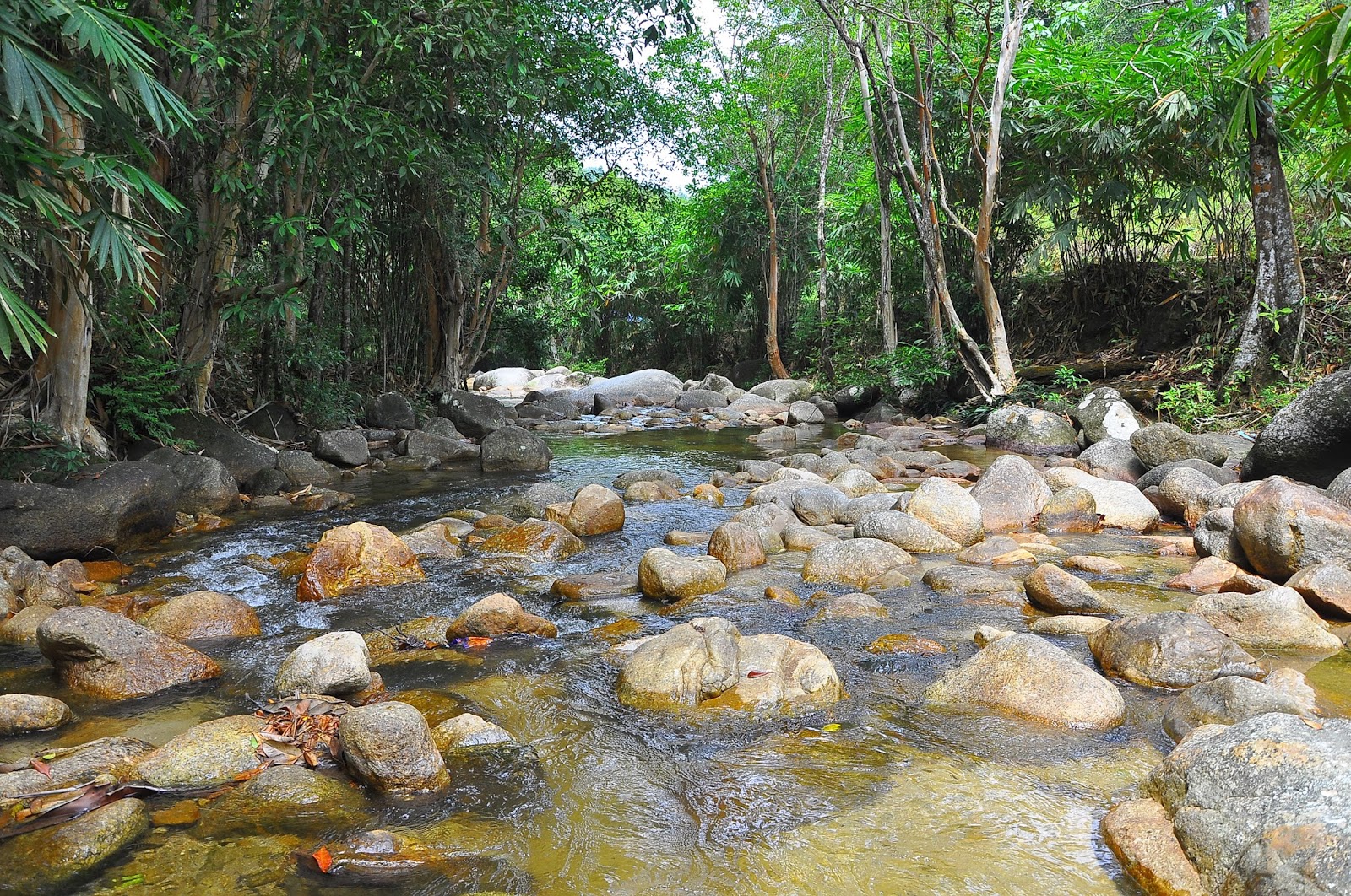 Sungai Siput Boy: Waterfall : Lata Ulu Chepor-Kampung Ulu Chepor-Chemor ...
