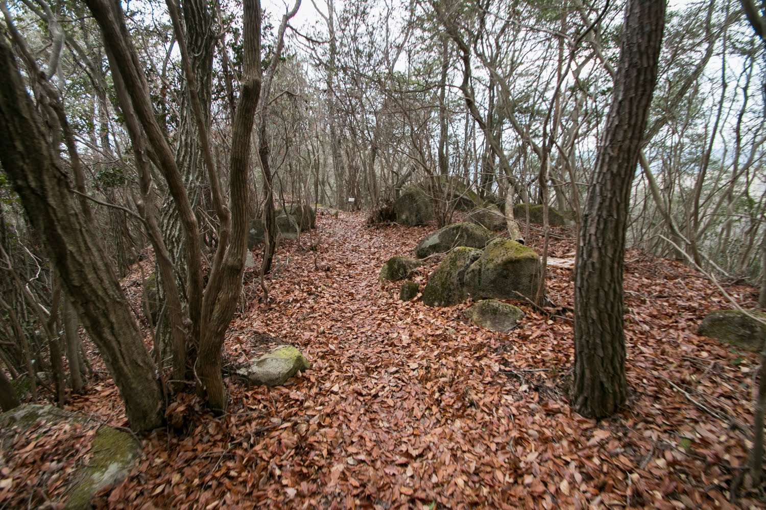 Tenjinyama Castle (Bizen) -When it goes around it comes around- | Ken's ...