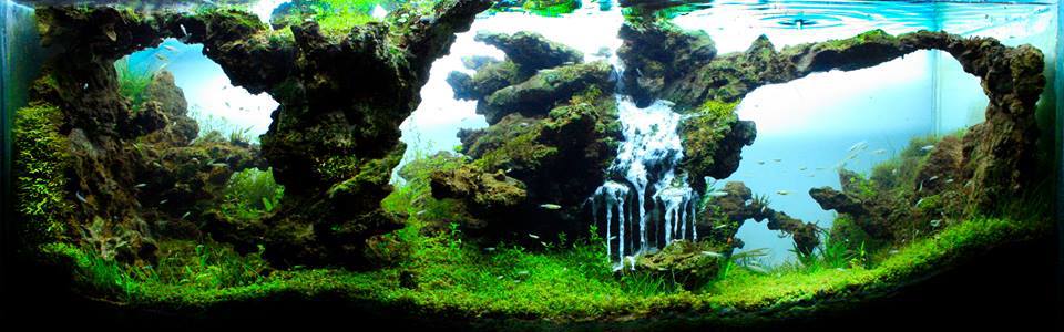 10 Aquascape Waterfall Yang Unik dan Menawan - Dunia Akuarium