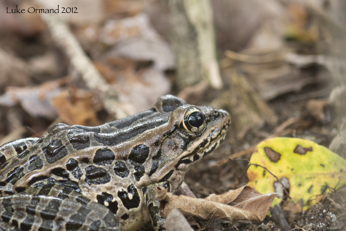 Welcome to. . .: September Birds