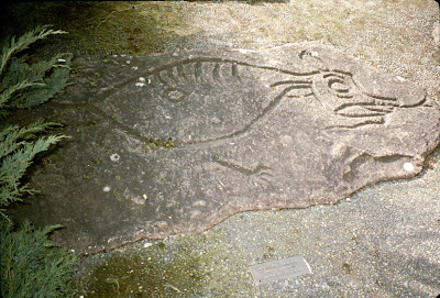 Rock Art Blog: AN ANCIENT PICTISH WATER MONSTER'S RESEMBLANCE TO THE ...