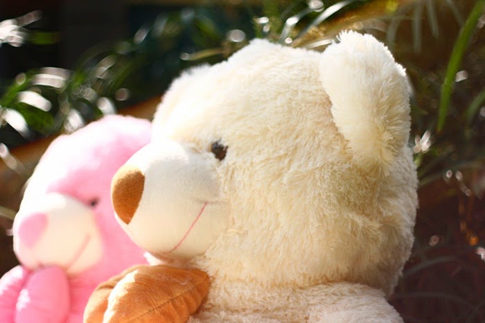 jual boneka teddy bear lucu murah dan besar | Reseller boneka | Beli ...