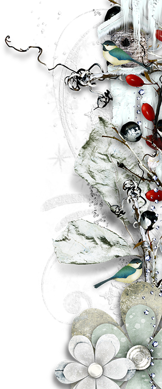 ForgetMeNot: cluster winter