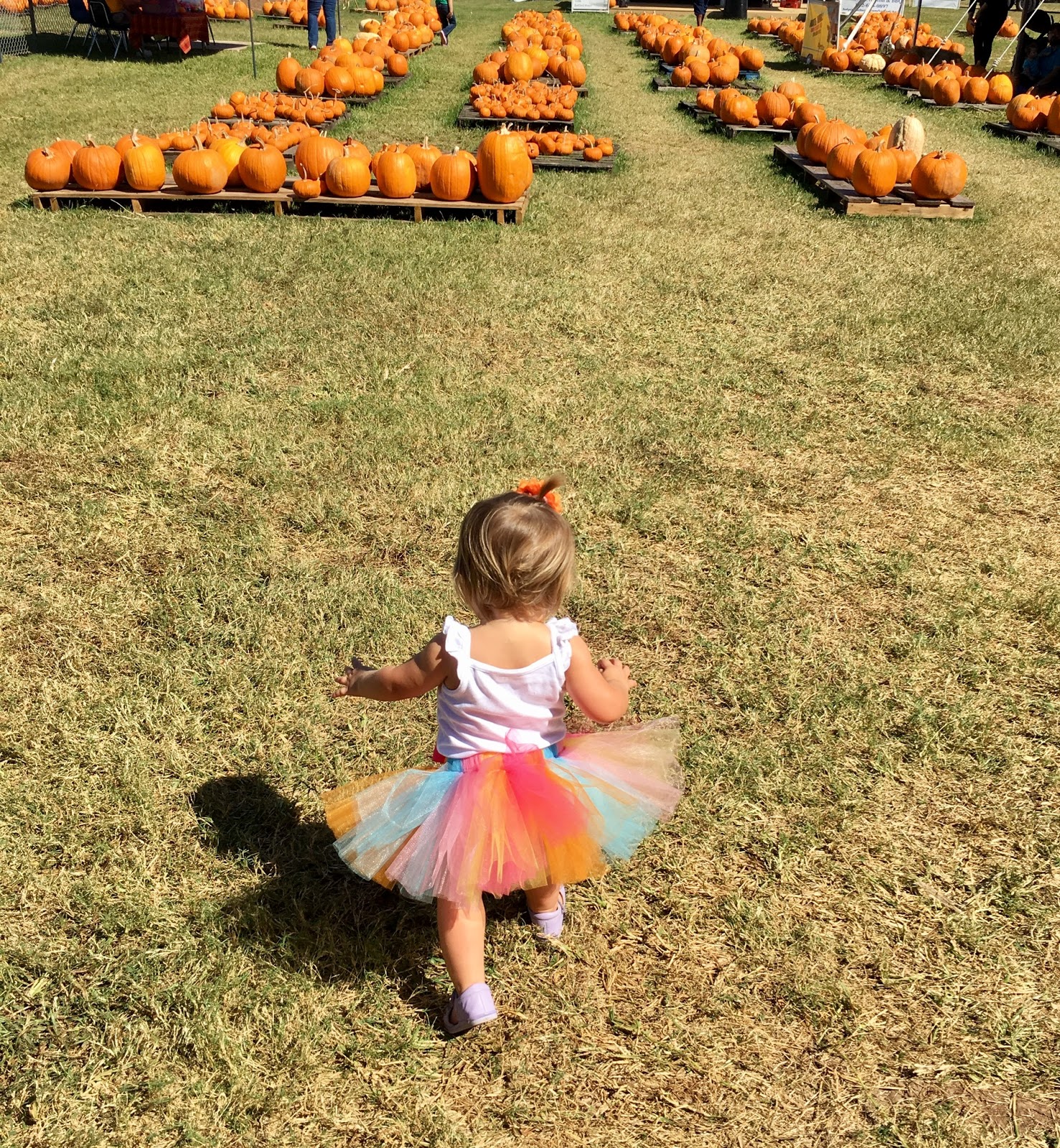 Chloe Grace at the Pumpkin Patch - Amy's Balancing Act