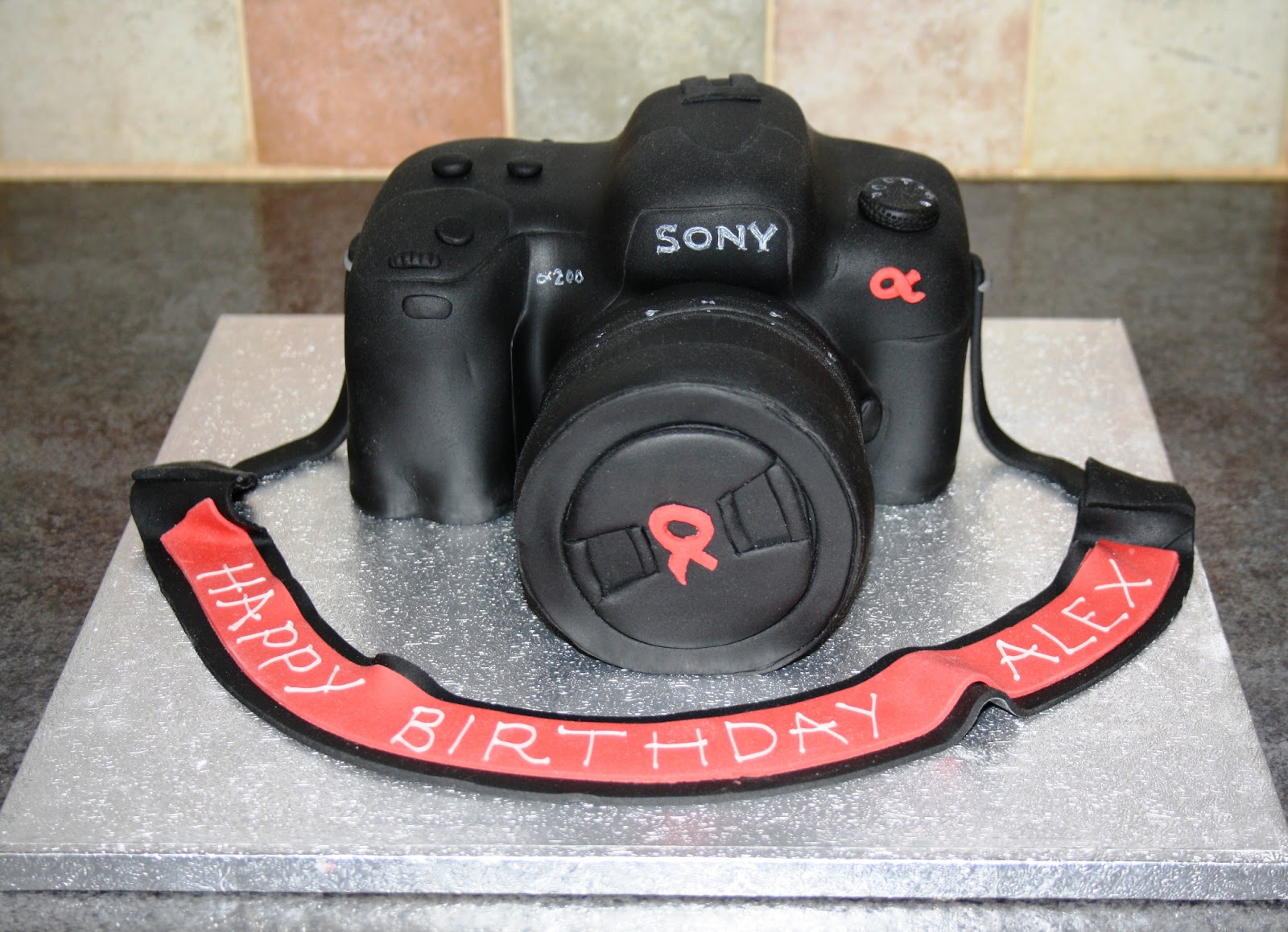 Tallulah's Bakery: Camera Cake
