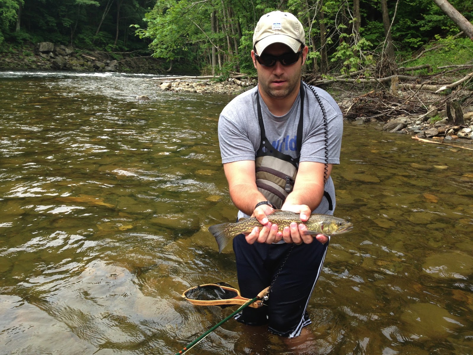 FLY FISHING in NEW ENGLAND: DEERFIELD RIVER