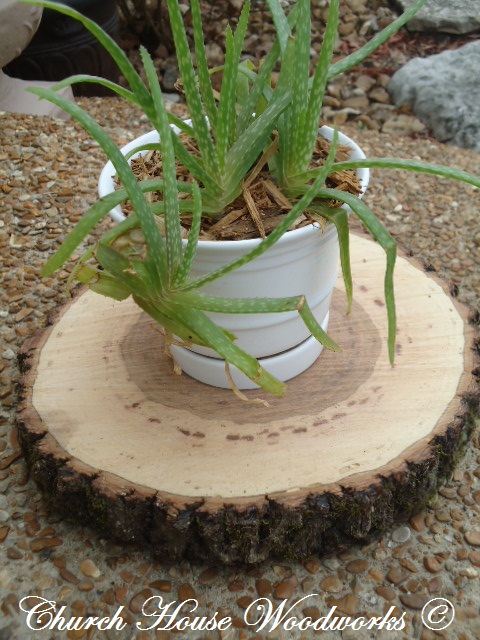 Church House Collection Blog: 12 Inch Large Hickory Wood Slices For A ...