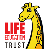 Room Twelve Rocks @ Koraunui School: A visit to Harold and the Life ...