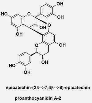 CONDENSED TANNIN STRUCTURAL CHEMISTRY