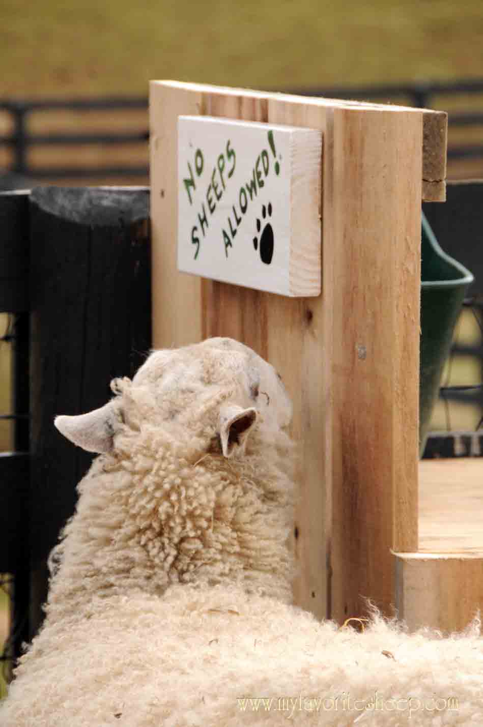 Punkin's Patch: February 2012