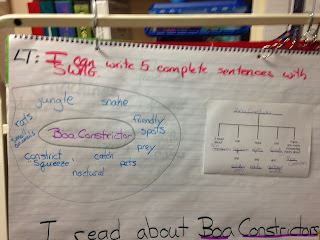 Toad-ally Exceptional Learners: differentiation