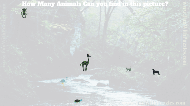 Find the Hidden Animals in the Picture