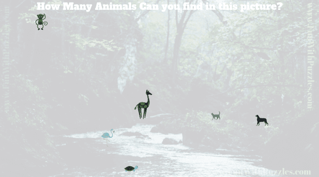 Find the Hidden Animals in the Picture
