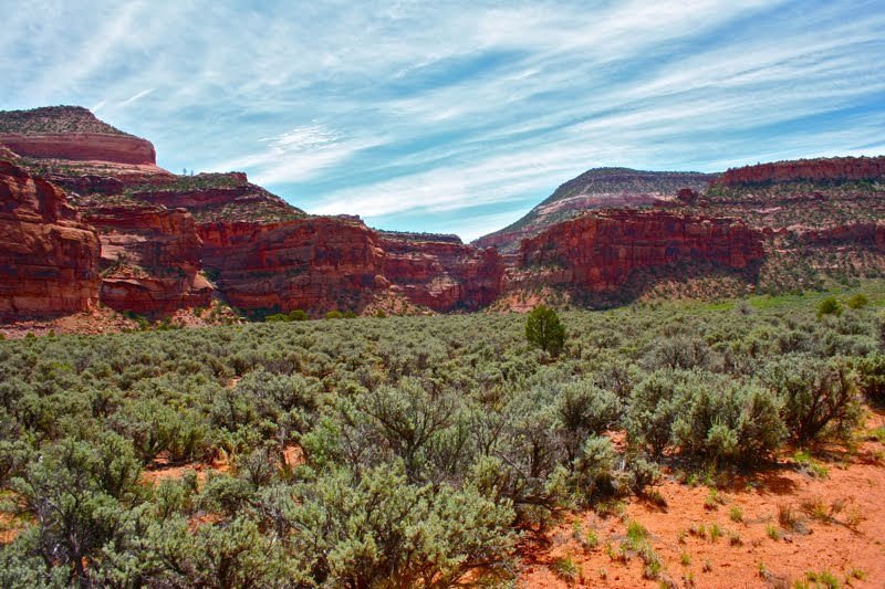 Colorado Lifestyle: Sagebrush