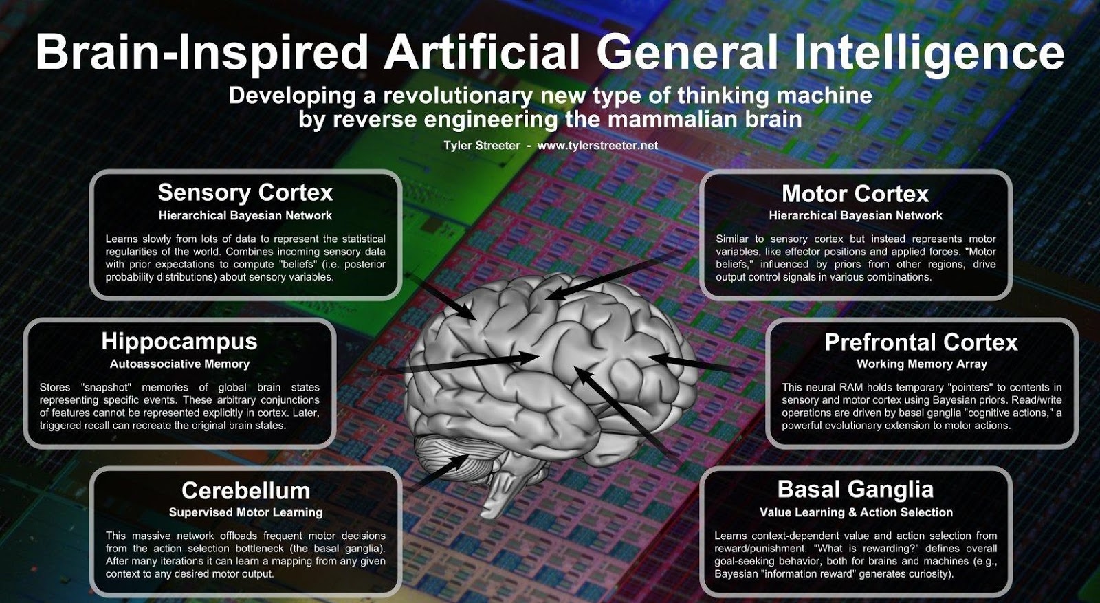 career: Brain inspired Artificial Intelligence 06-09