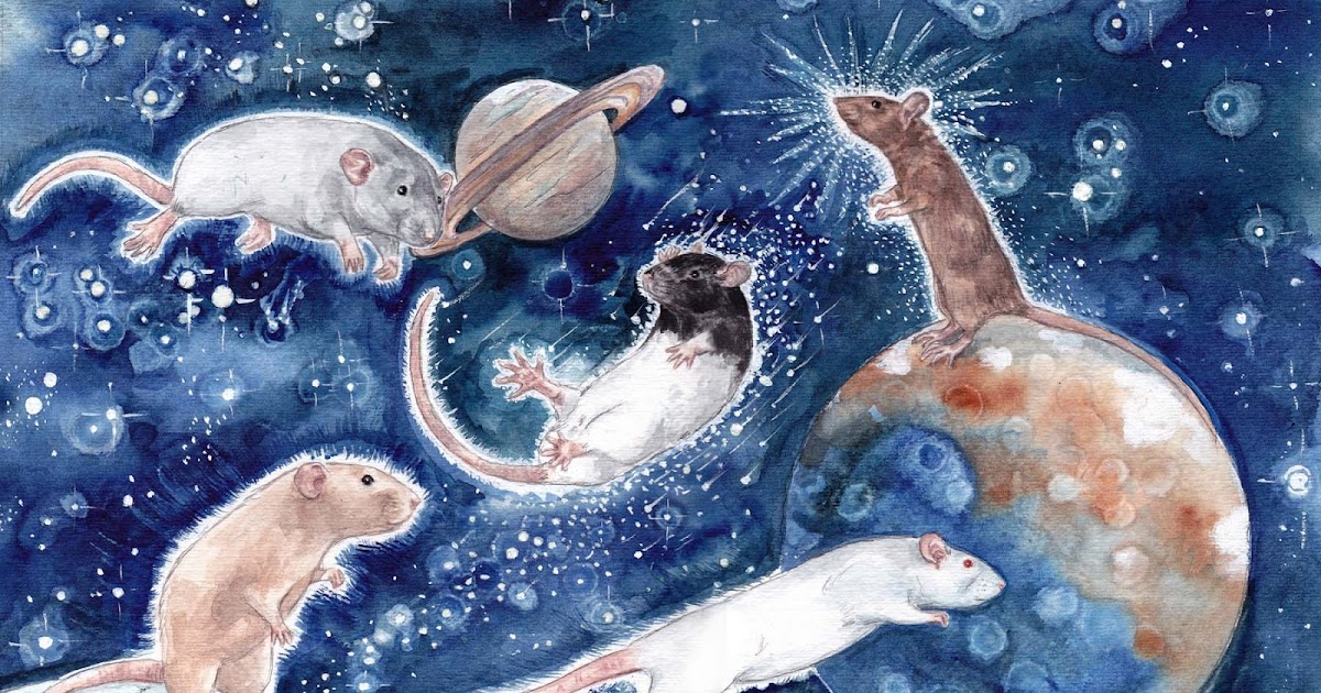 The Art of The Illustrated Rat: Rats are Stars Spelled Backwards