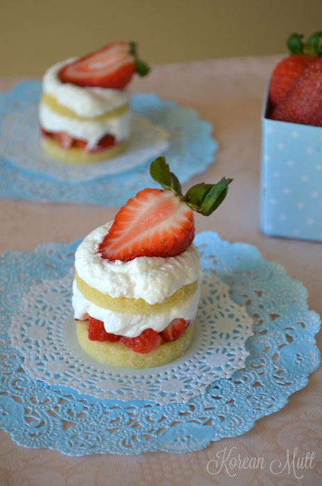 Mini Japanese Strawberry Shortcakes ~ Korean Mutt
